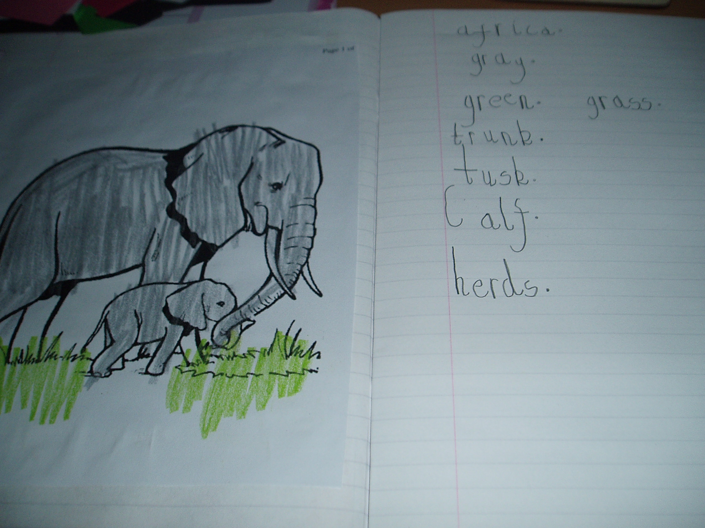 We’re going on a Lion Hunt | ofamily learning together