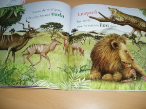 Wonderful books on South African animals for kids | ofamily learning ...