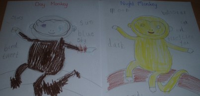 Night Monkey Day monkey | ofamily learning together