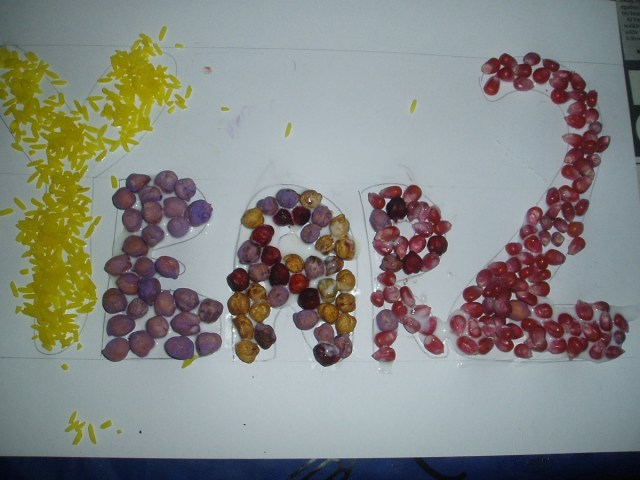 Starting year 2 and making Collages | ofamily learning together