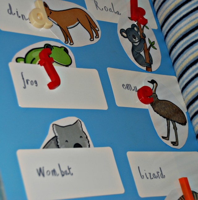Australian animal writing practice | ofamily learning together