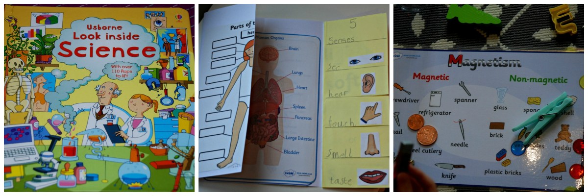 Usborne Look Inside Science book and some Twinkl pages | ofamily ...