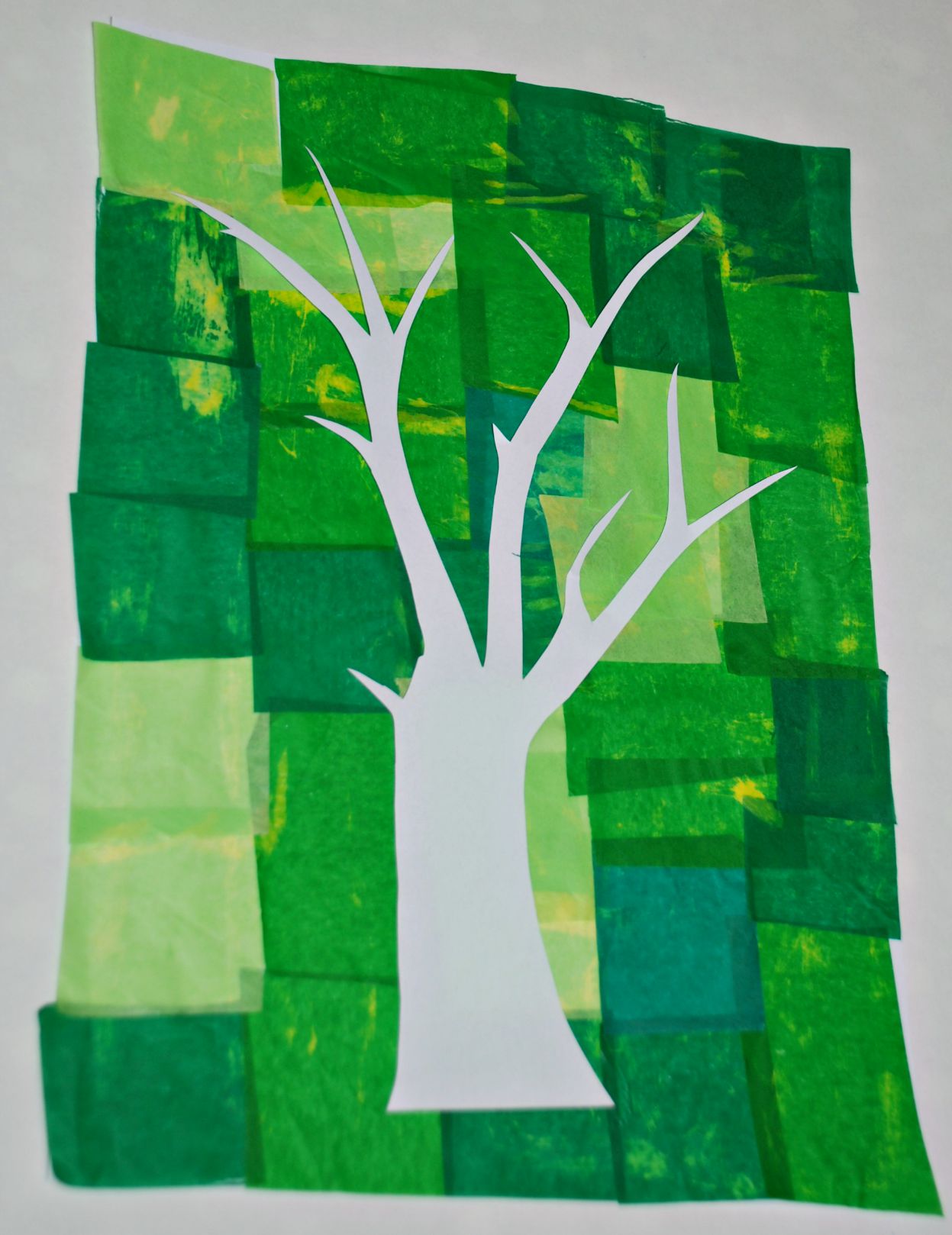 Tissue paper pictures with trees | ofamily learning together
