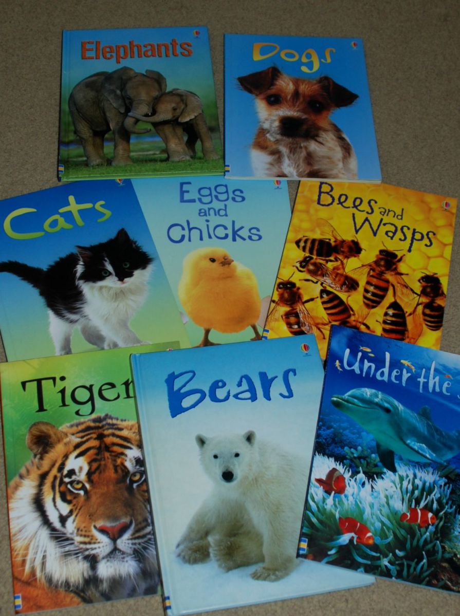Kids “learning” books that we love | ofamily learning together