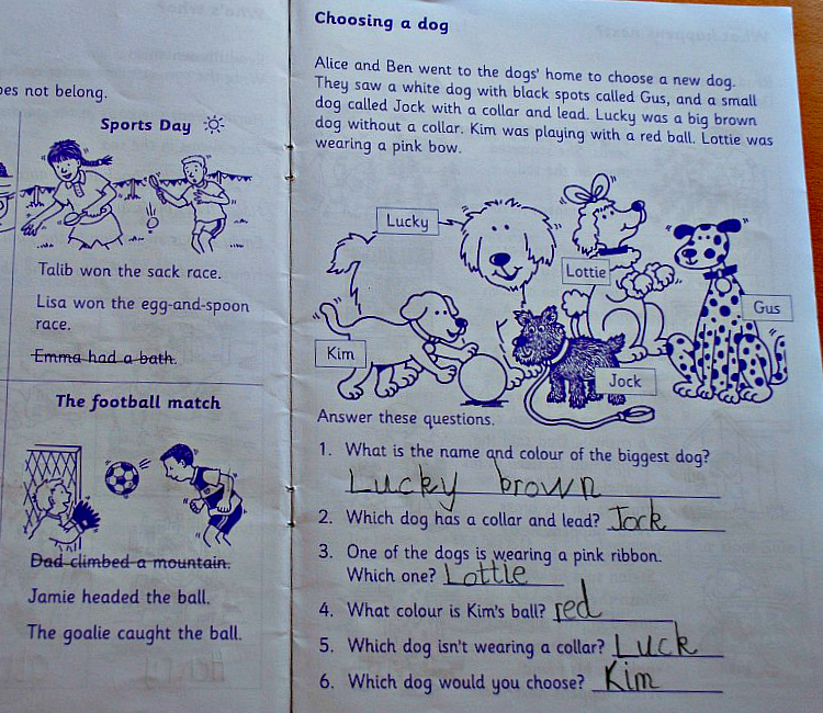 Comprehension Workbooks for Year 2 (UK) | ofamily learning together