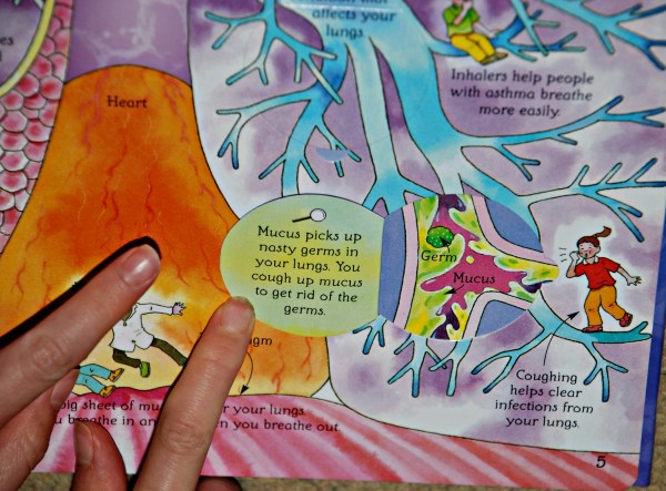 Learning about the Human Body | ofamily learning together