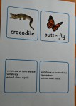Animal classification Cards | ofamily learning together