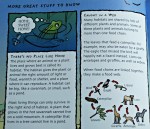 Staying Alive Book (The story of the Food Chain) | ofamily learning ...