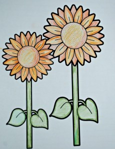 Practicing shading with flower colouring pages | ofamily learning together