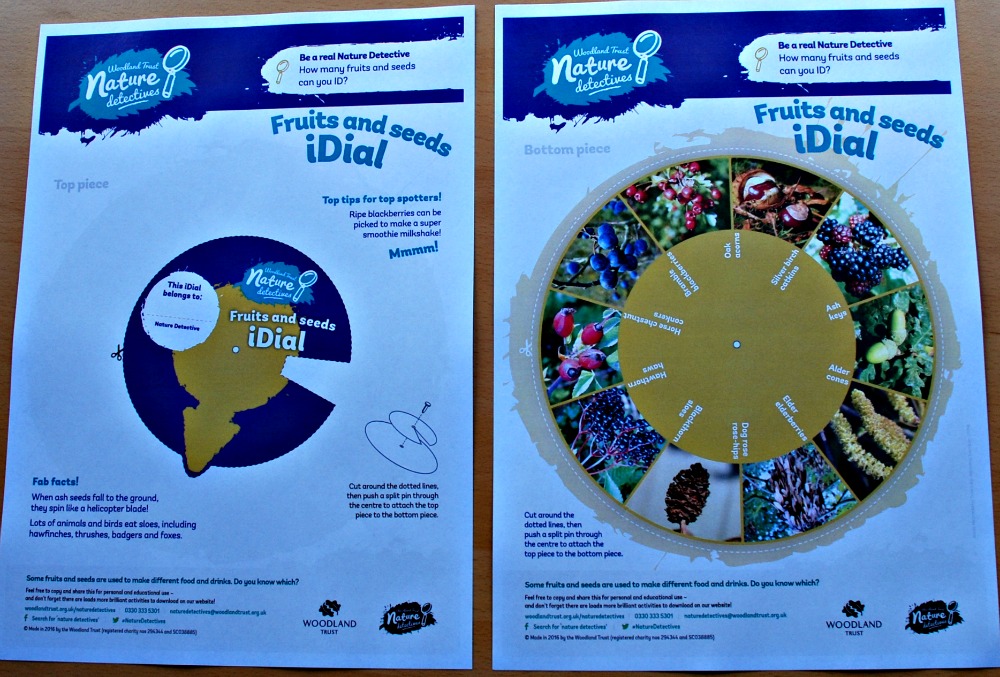 Woodland Trust Free nature printouts | ofamily learning together