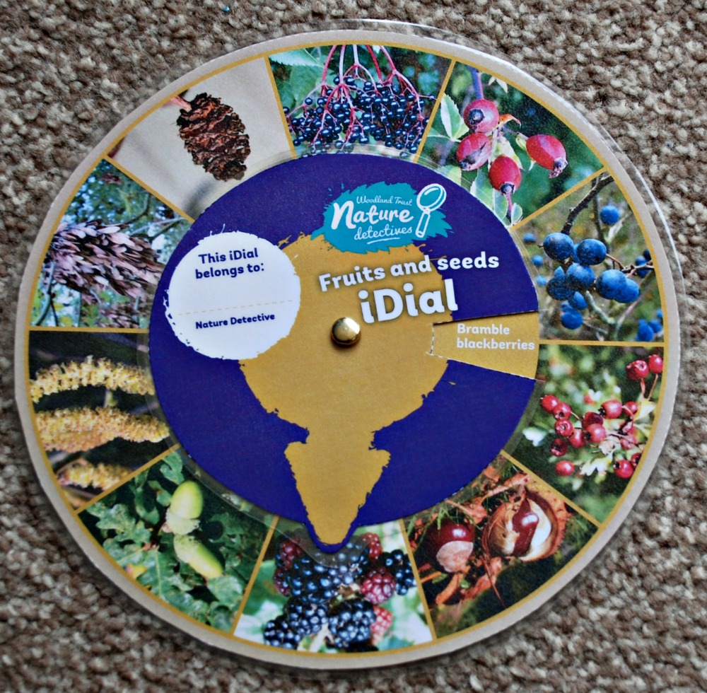 Woodland Trust Free nature printouts | ofamily learning together