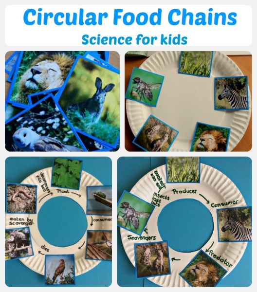 Circular Food Chains | ofamily learning together