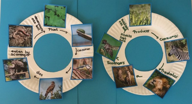 Circular Food Chains | ofamily learning together