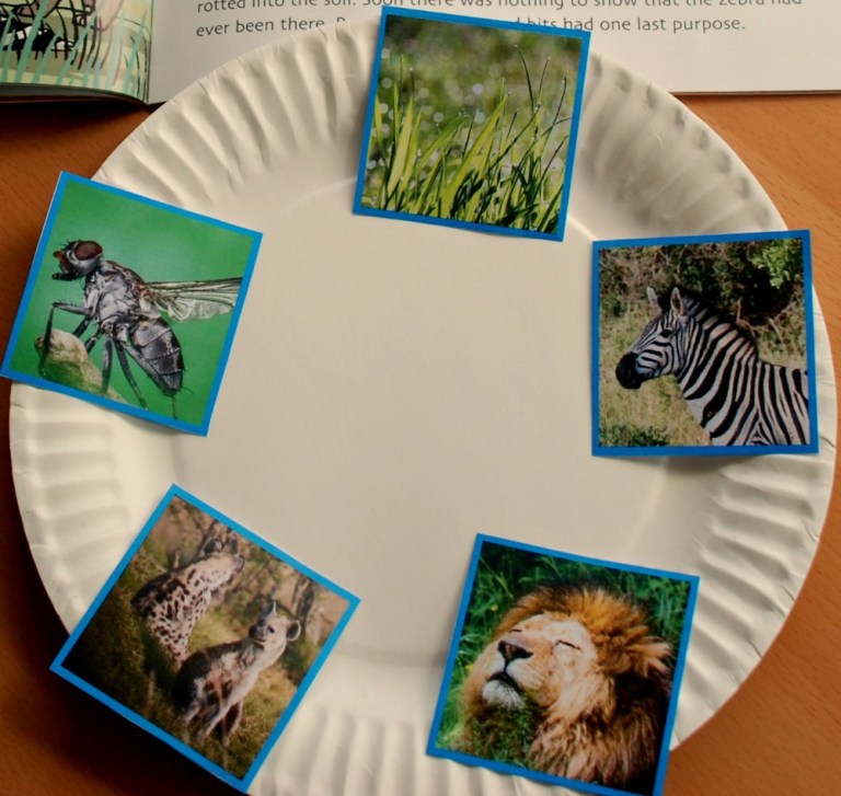 Circular Food Chains | ofamily learning together