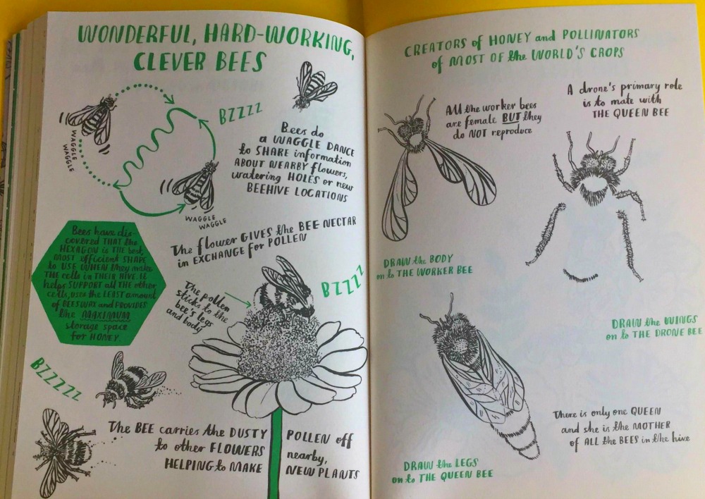 Hello Nature Book for Children | ofamily learning together