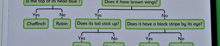 Understanding Science Series – Animals & Plants Workbook | ofamily ...