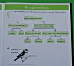 Understanding Science Series – Animals & Plants Workbook | ofamily ...