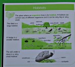 Understanding Science Series – Animals & Plants Workbook | ofamily ...
