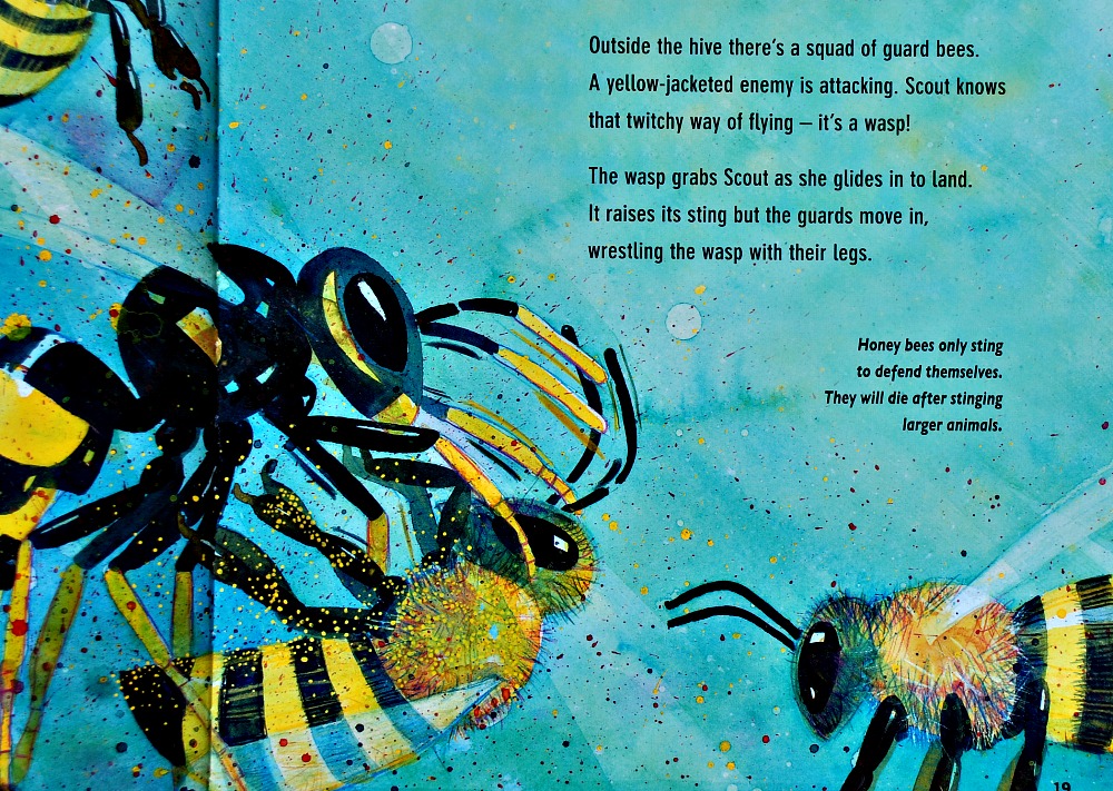 Flight of the Honey Bee | ofamily learning together