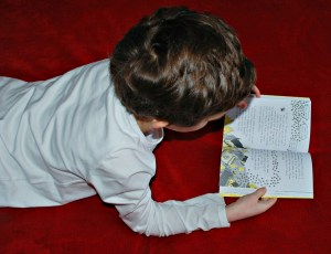 Bee Boy – Fun Reading | ofamily learning together