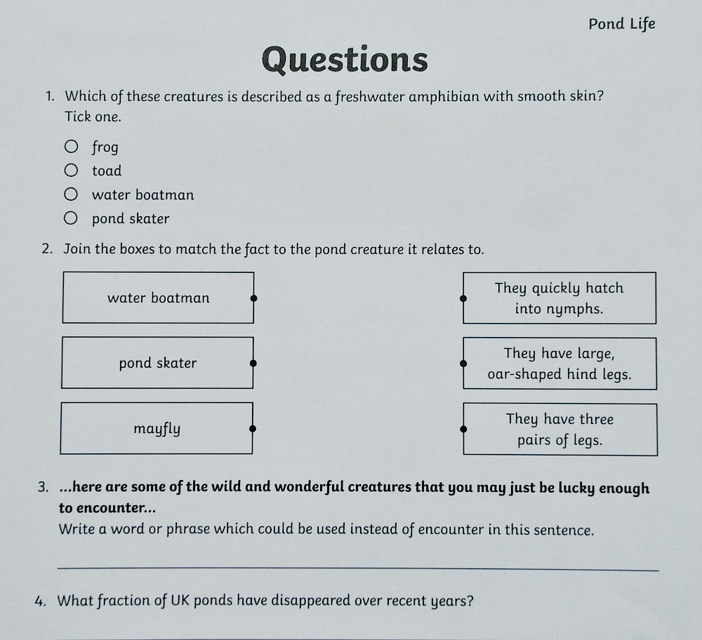 Springwatch reading comprehension | ofamily learning together