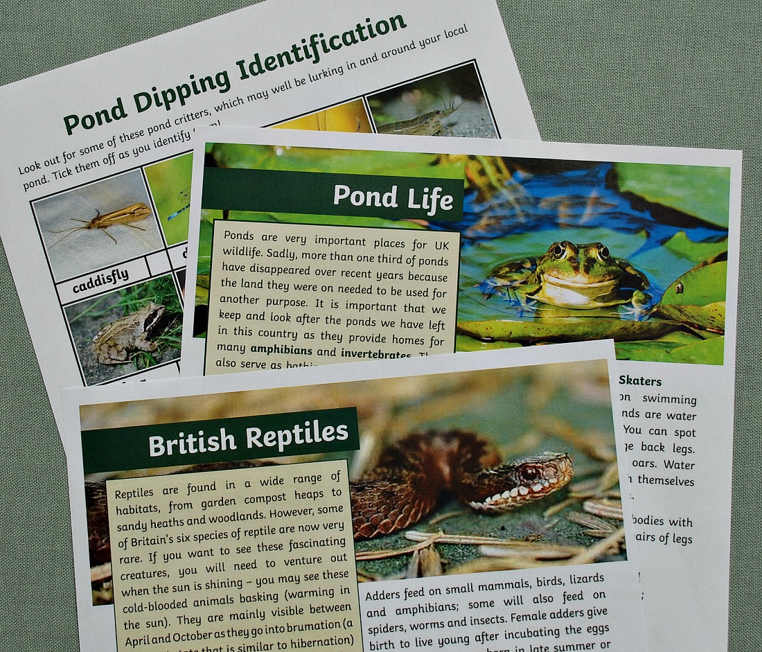 Springwatch reading comprehension | ofamily learning together
