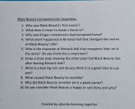 Black Beauty Book | ofamily learning together