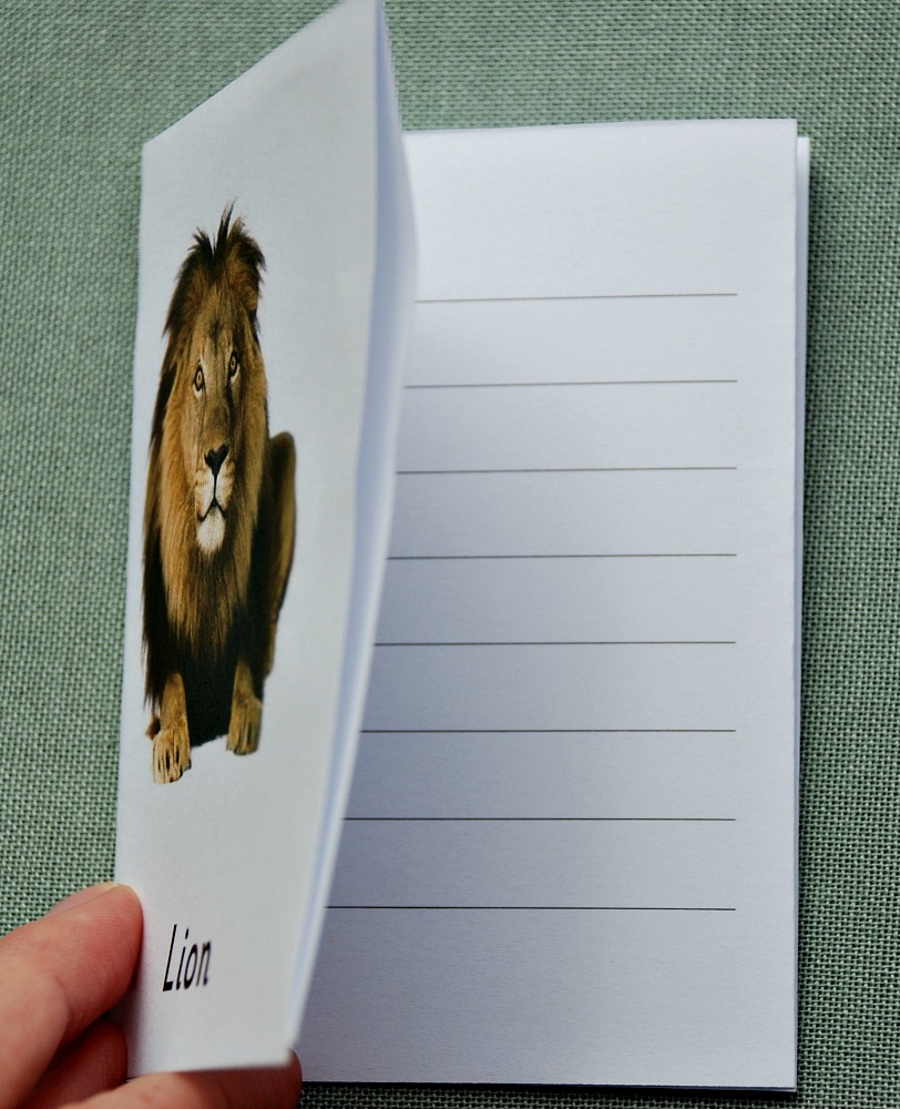 Encouraging writing with little booklets | ofamily learning together