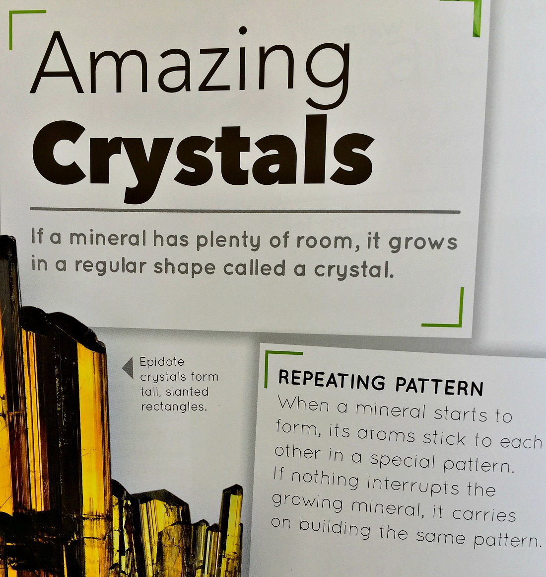 Rock Explorer Books | ofamily learning together