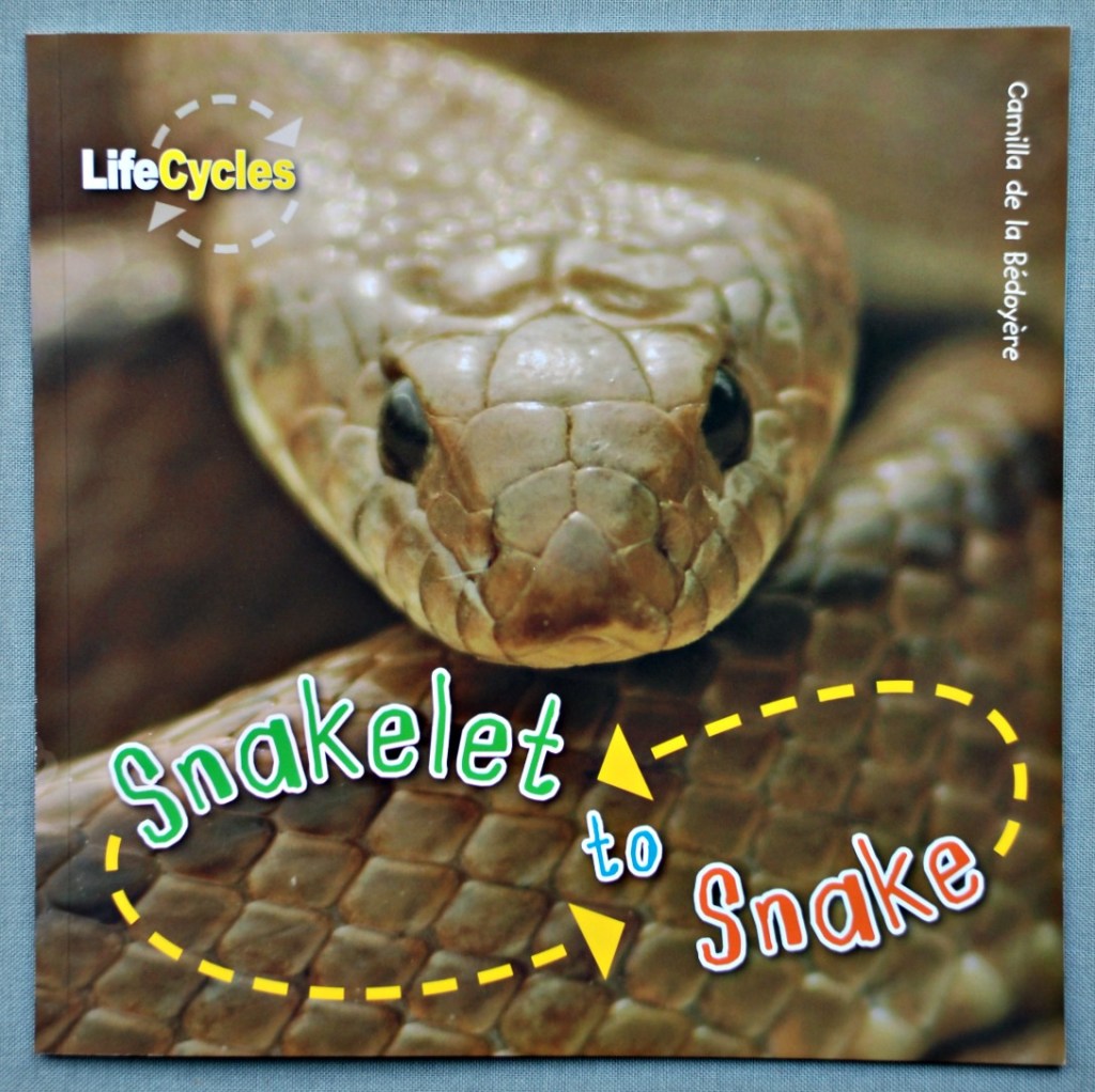 Snake Life Cycle book and activities | ofamily learning together