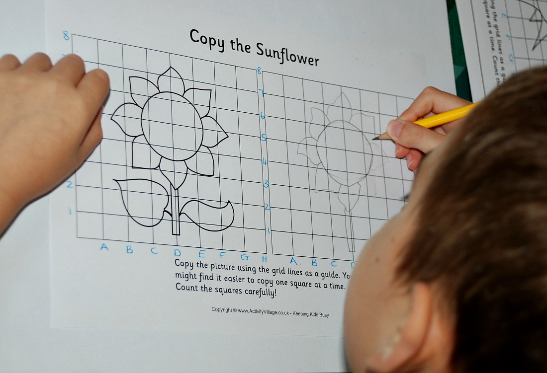 Co-ordinate Grid Copy Pictures | ofamily learning together