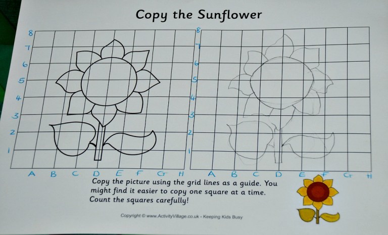 Co-ordinate Grid Copy Pictures | ofamily learning together