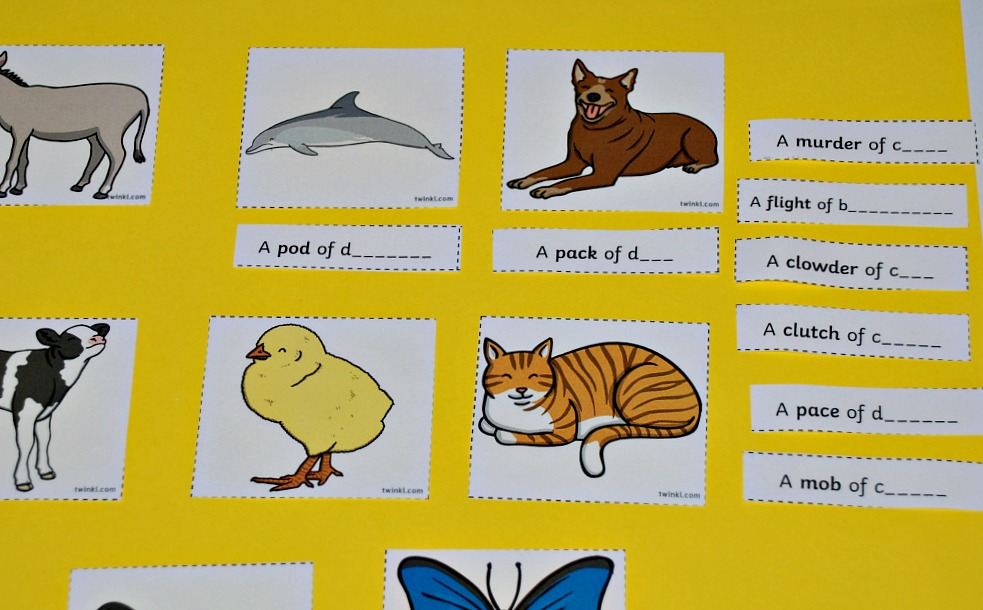 Collective Nouns | ofamily learning together
