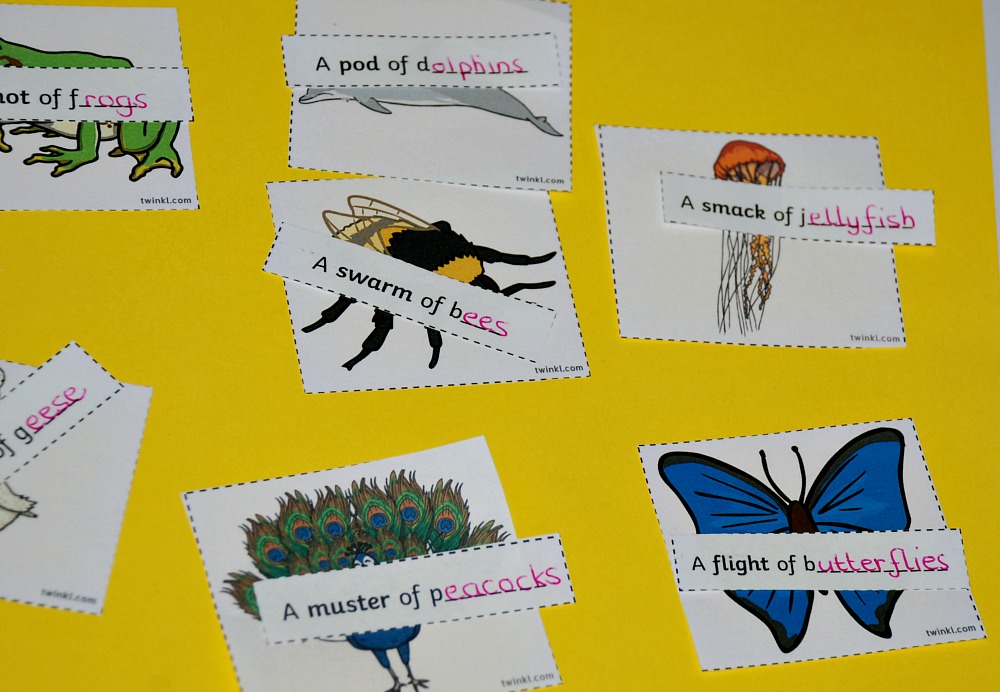 Collective Nouns | ofamily learning together