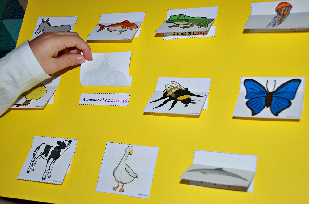 Collective Nouns | ofamily learning together
