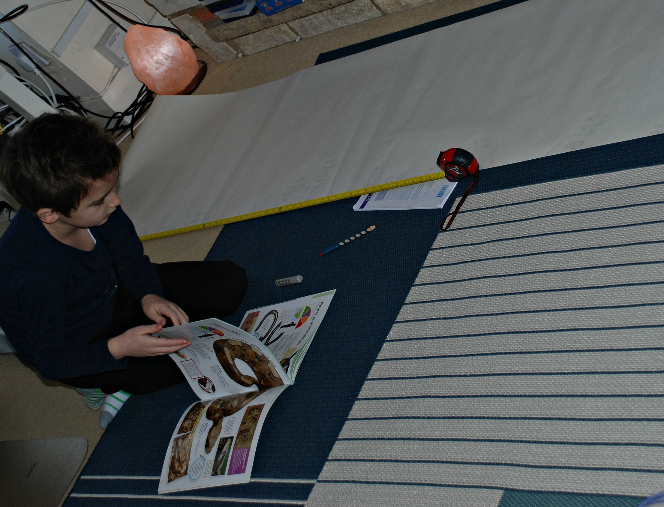 Measuring Animals | ofamily learning together