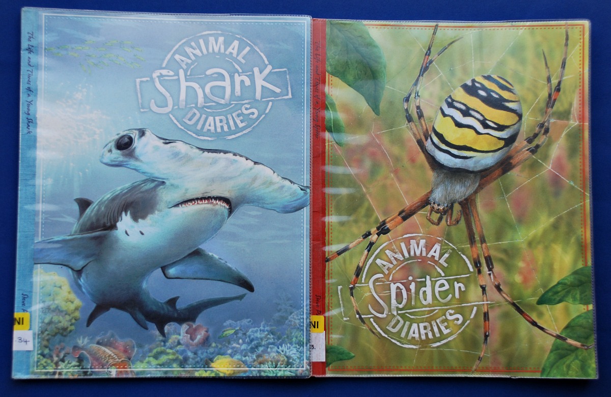 Animal Diaries | ofamily learning together