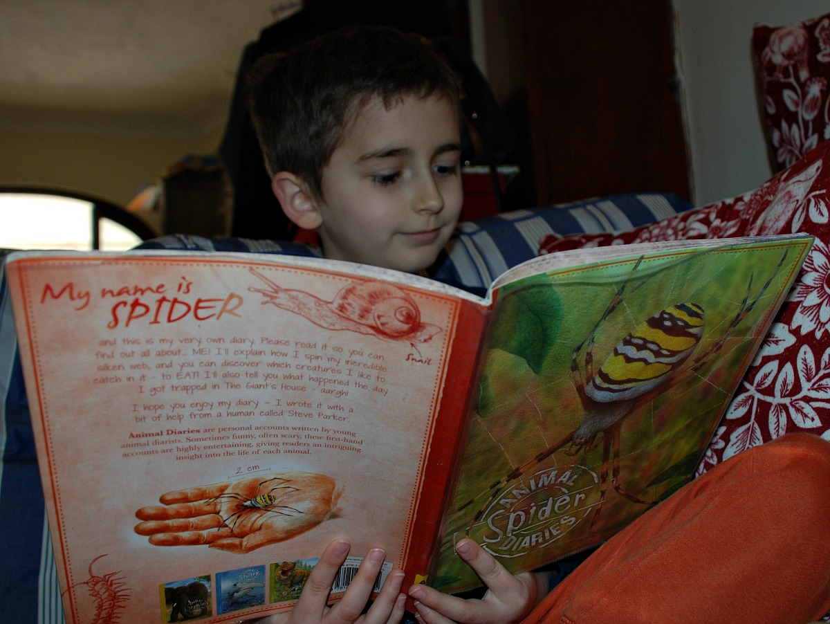 Animal Diaries | ofamily learning together