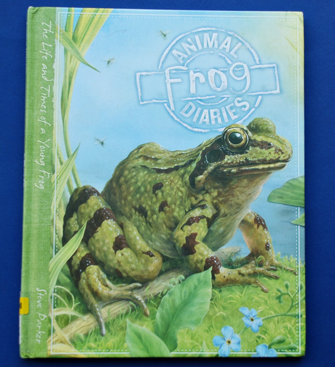 Frog Diary / Frog Life Cycle | ofamily learning together