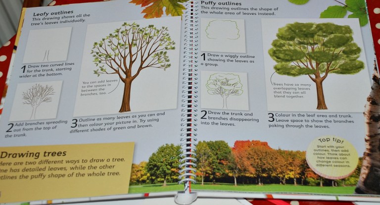 How to Draw Book Review | ofamily learning together