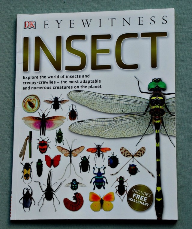 DK Insect Book | ofamily learning together
