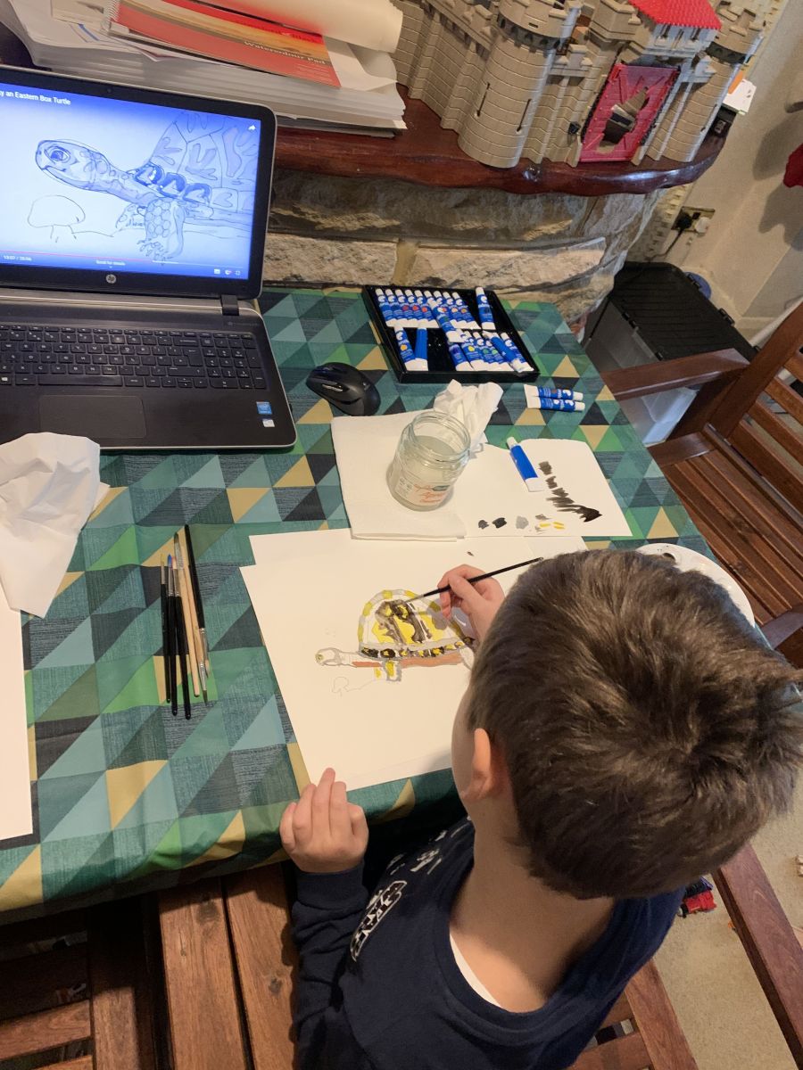 Jan Brett drawing videos | ofamily learning together