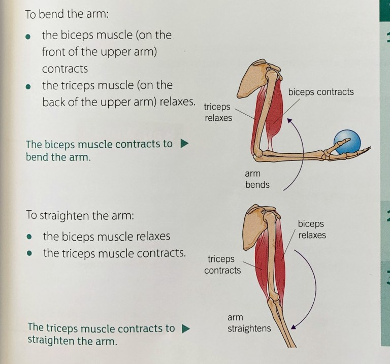 Activate 1 – Key Stage 3 Science Resource | ofamily learning together