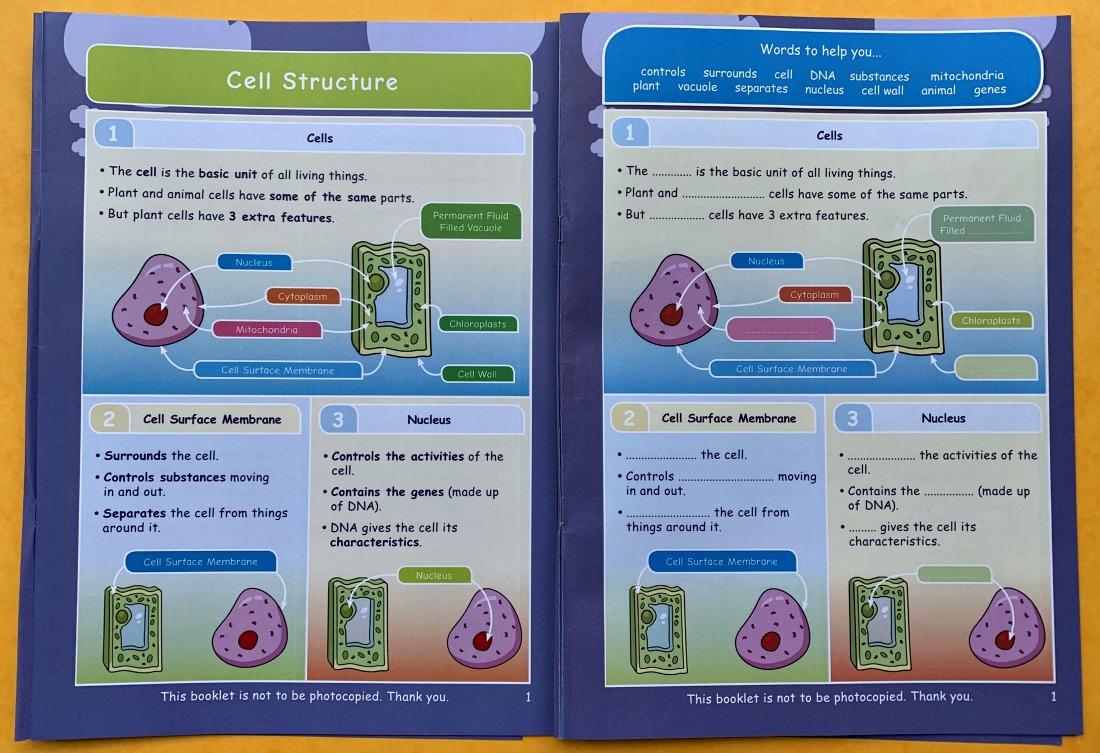 Plant Cell And Animal Cell Ks3
