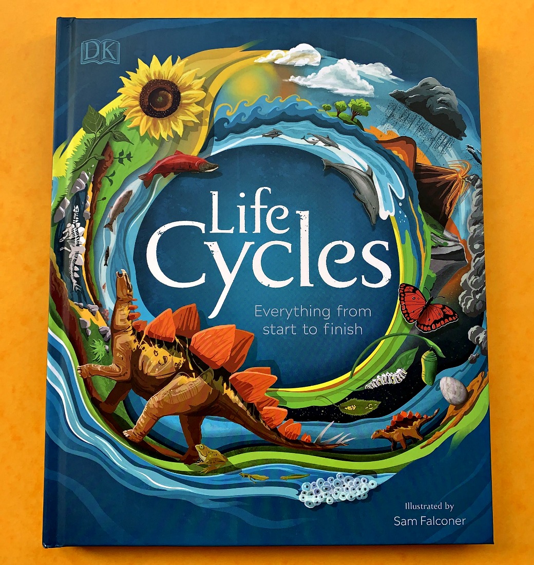 A Stunning Life Cycle Book | ofamily learning together