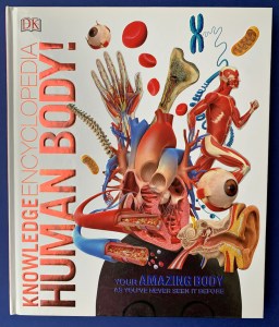 Knowledge Encyclopedia Human Body | ofamily learning together