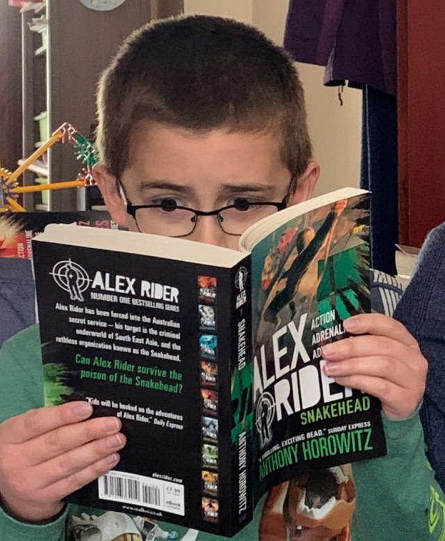 Alex Rider Books | ofamily learning together