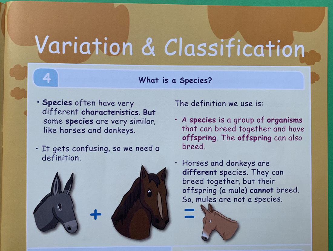 Variation and Classification Topic Pack | ofamily learning together