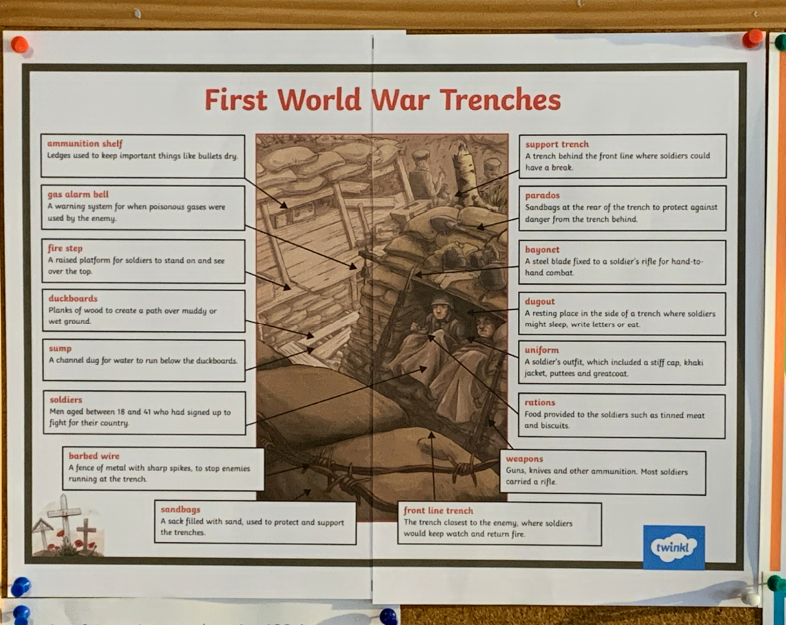 The Birds of Flanders Fields | ofamily learning together