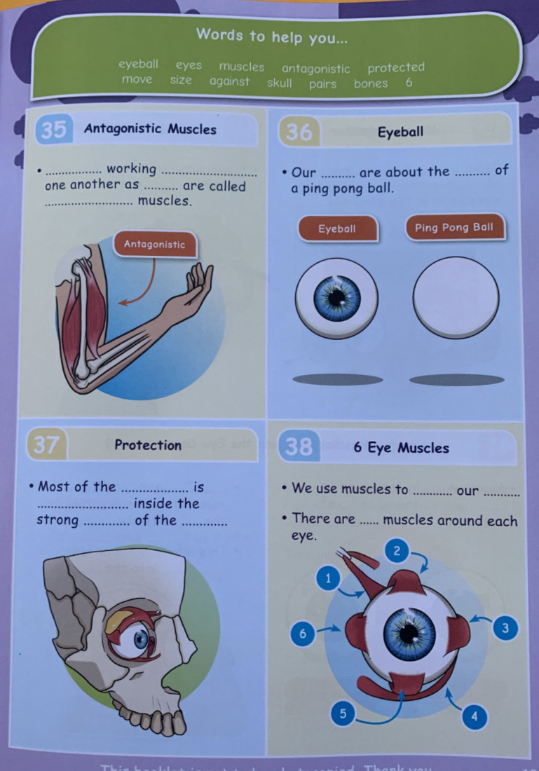 Starting Year 7 Science Resources | ofamily learning together